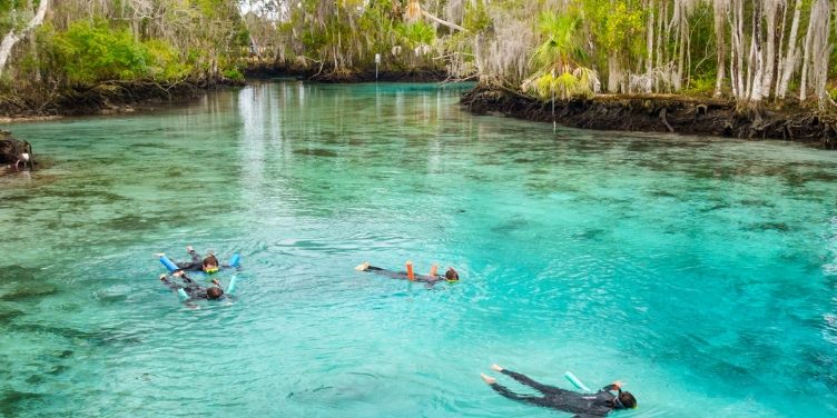 Attractions to Explore in Florida Other than Theme Parks | Staysure™